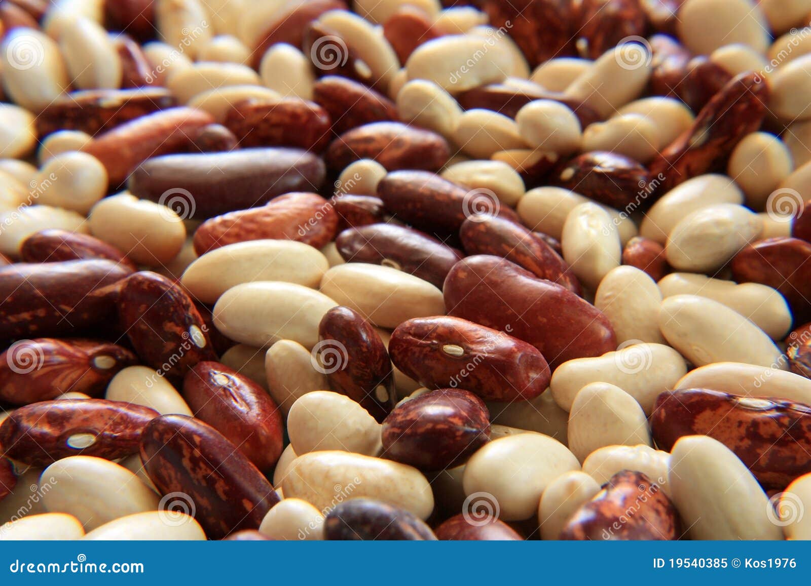 Background from Different Kinds of a String Bean Stock Image - Image of ...