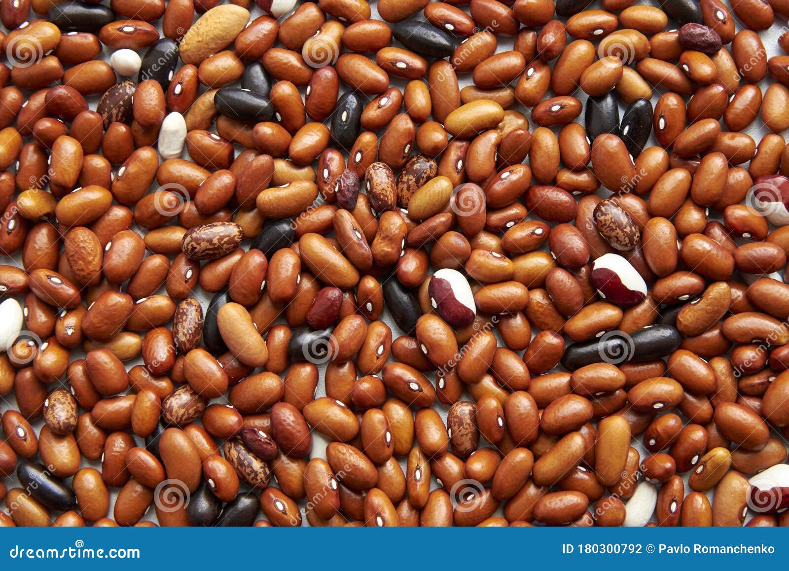 Background from Different Types of Beans, Brown, Black, Spotted Beans ...