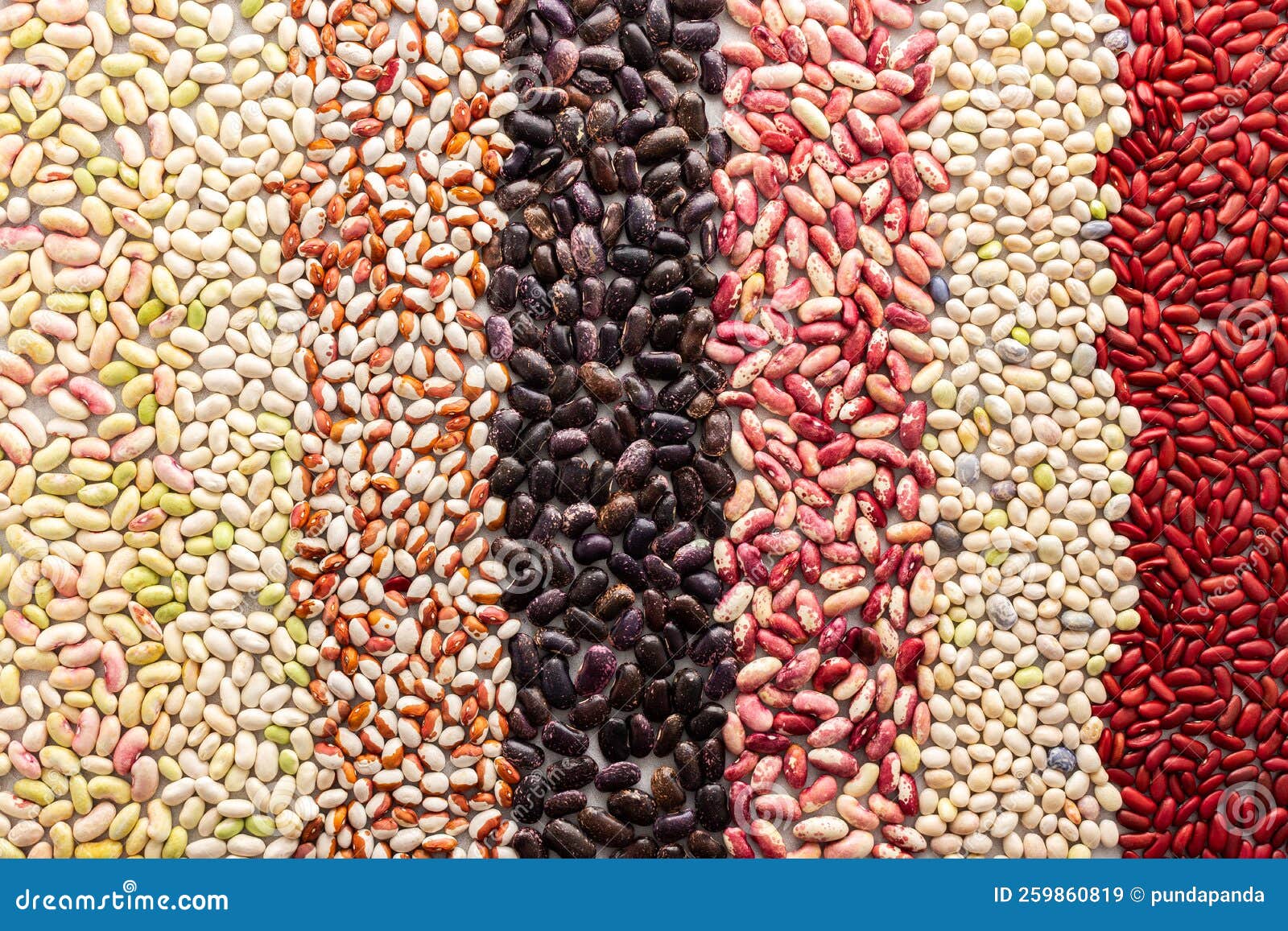 Background from Different Types of Beans Stock Image - Image of ...