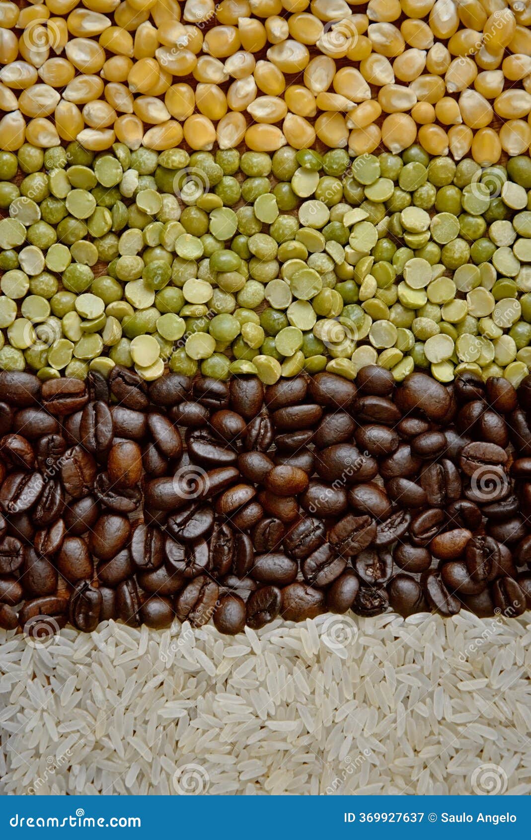Grains Coffee. Background From Coffee Beans. Roasted Coffee Beans ...