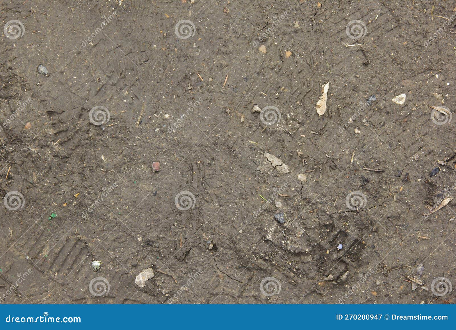 Background of Dirt. Texture of Ground after Rain Stock Image - Image of ...