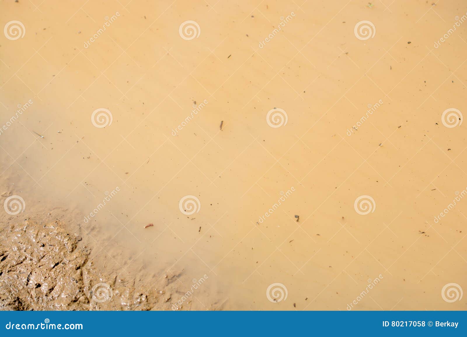 Background of Dirty Muddy Water Stock Photo - Image of dirty, puddle ...