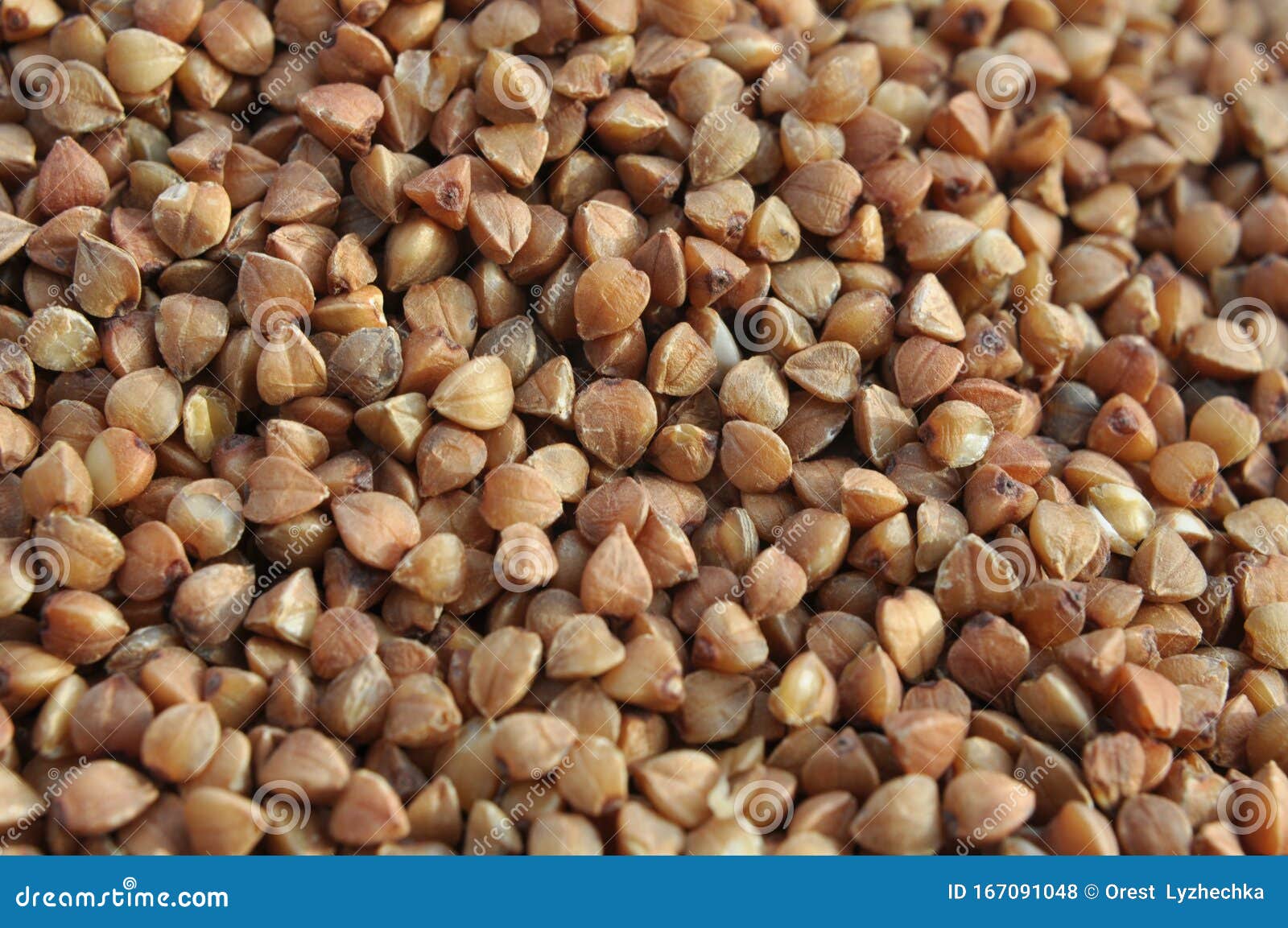 Background of Dried Buckwheat Stock Photo - Image of buckwheatorganic ...