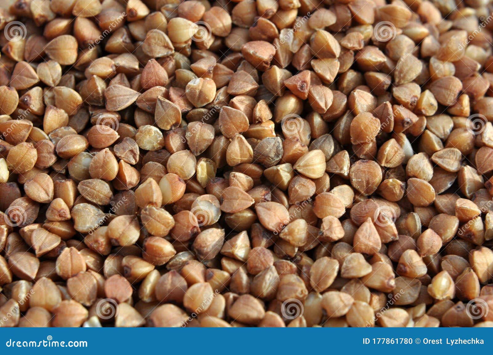 Background of Dried Buckwheat Stock Photo - Image of porridge, natural ...