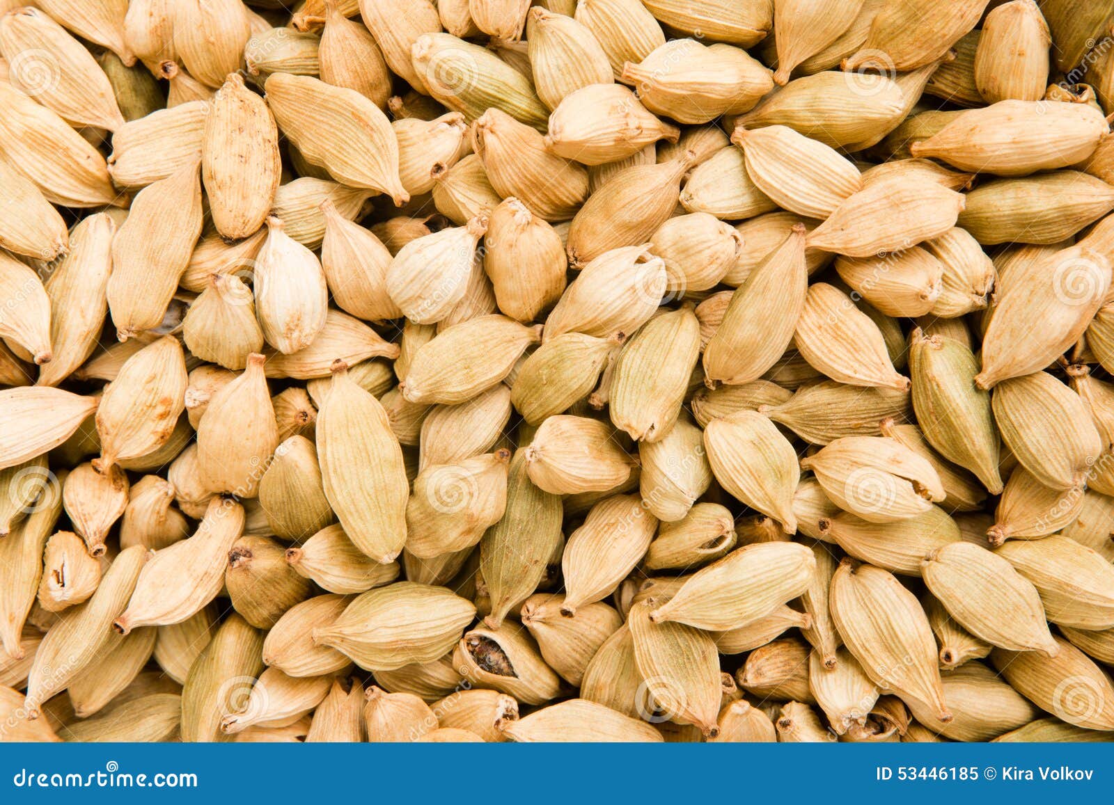 Background of Dried Cardamom Seeds in Shells Stock Image - Image of ...