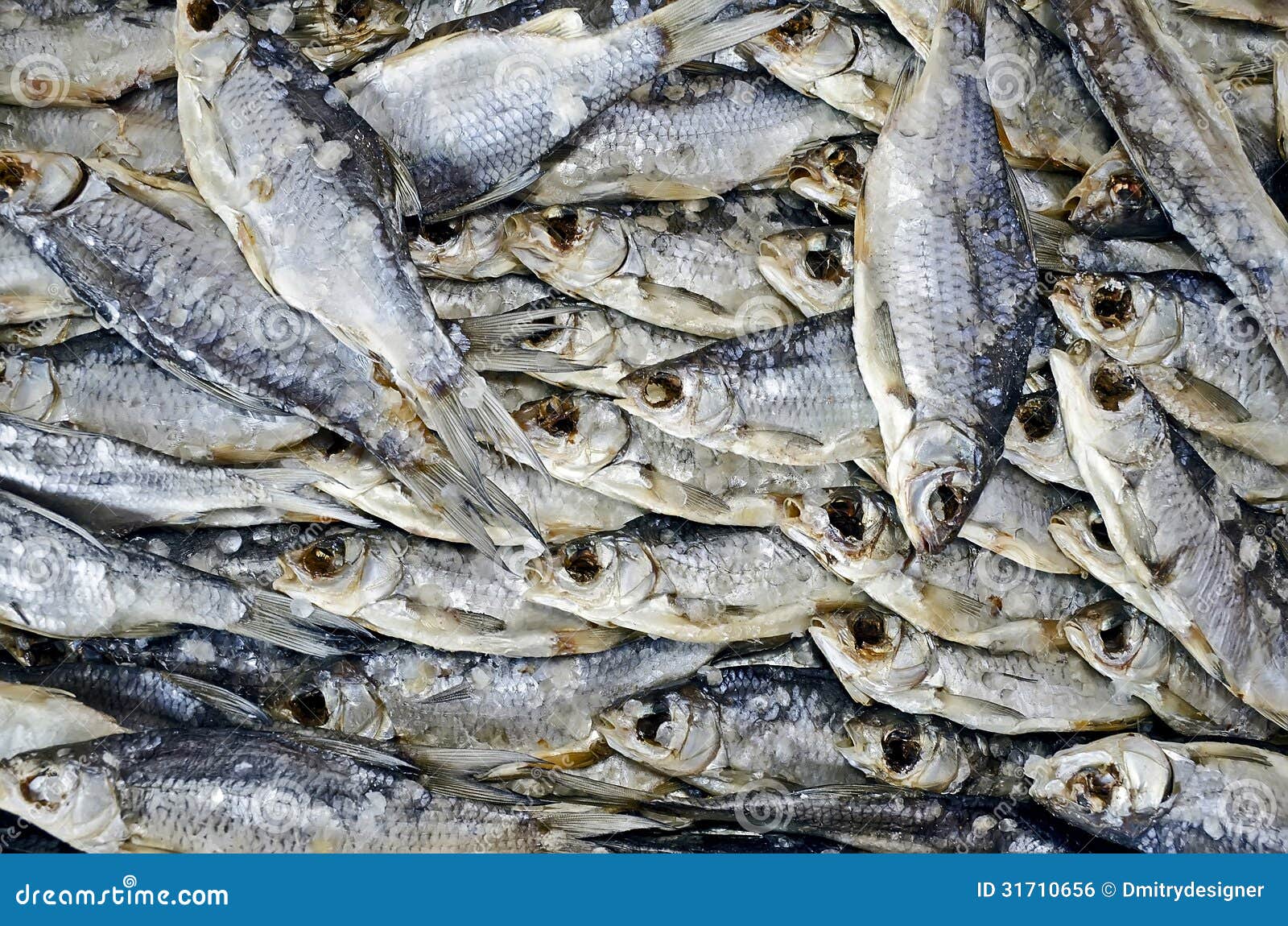 Background of dried fish stock photo. Image of closeup - 31710656