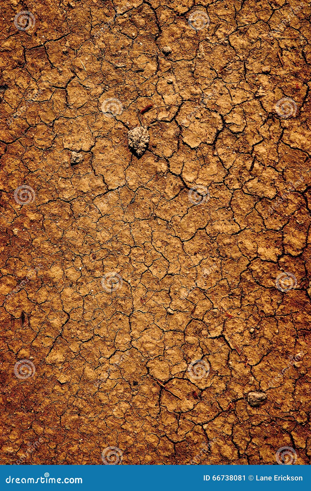 Dirt Ground Road Crossing Farm Royalty-Free Stock Photography ...