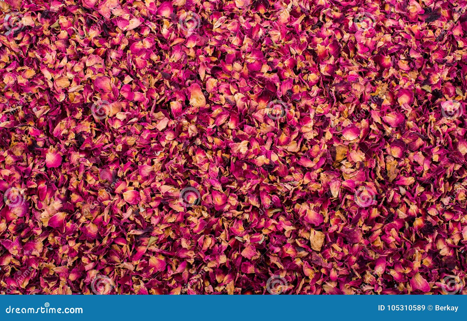 Dried Rose Flowers On Black Background Royalty-Free Stock Photo ...