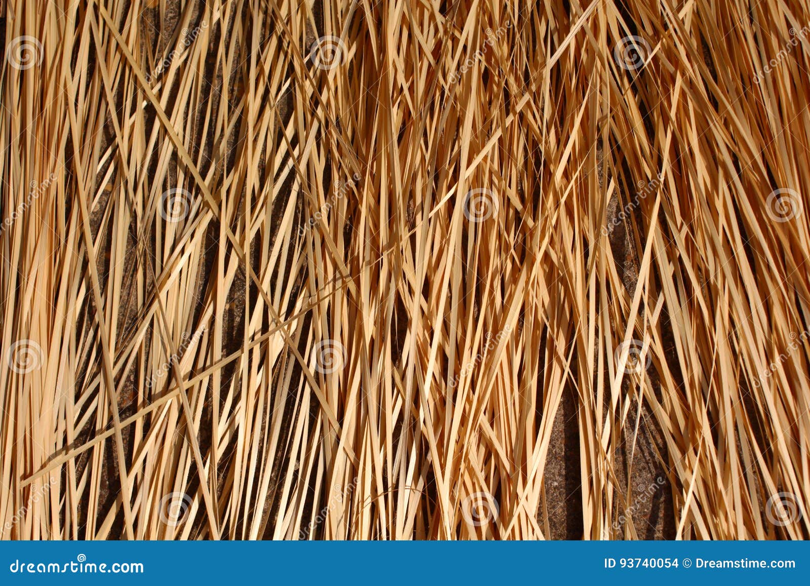 The Background of Dry Bamboo Stock Photo - Image of wall, design: 93740054