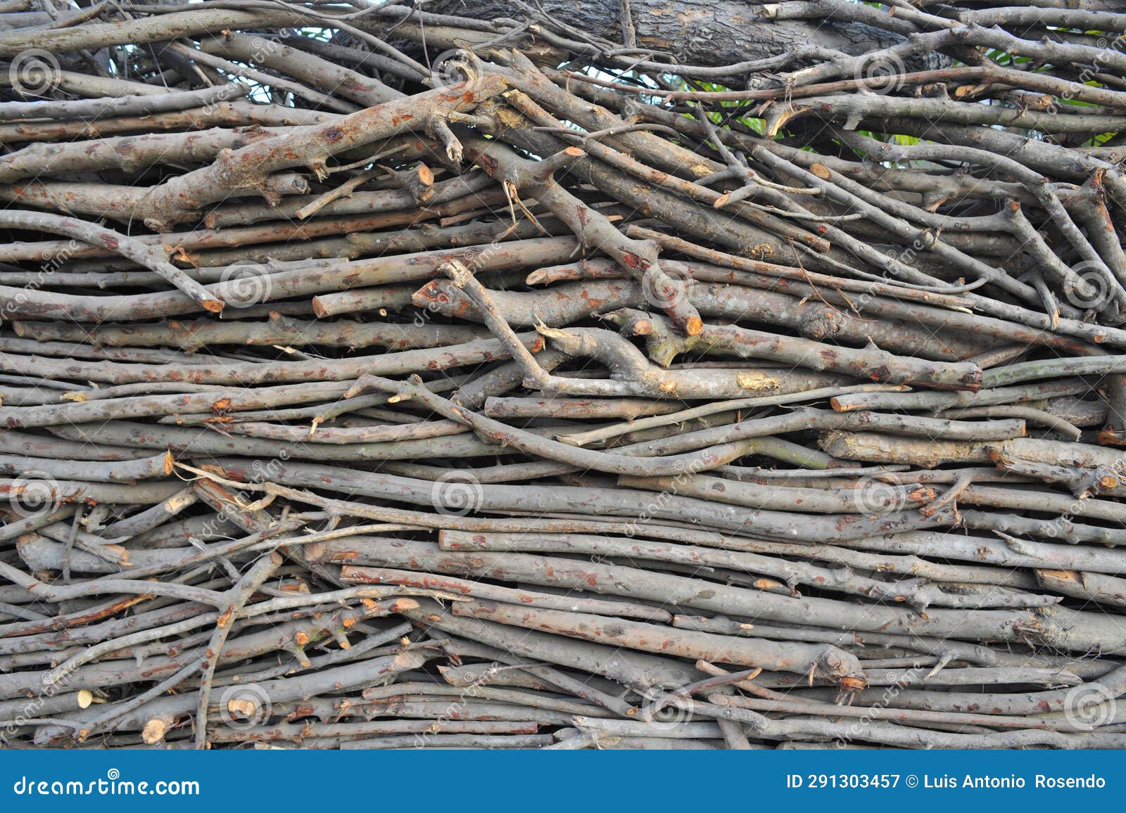 Background with Dry Branches Stacked for Fire Stock Image - Image of ...