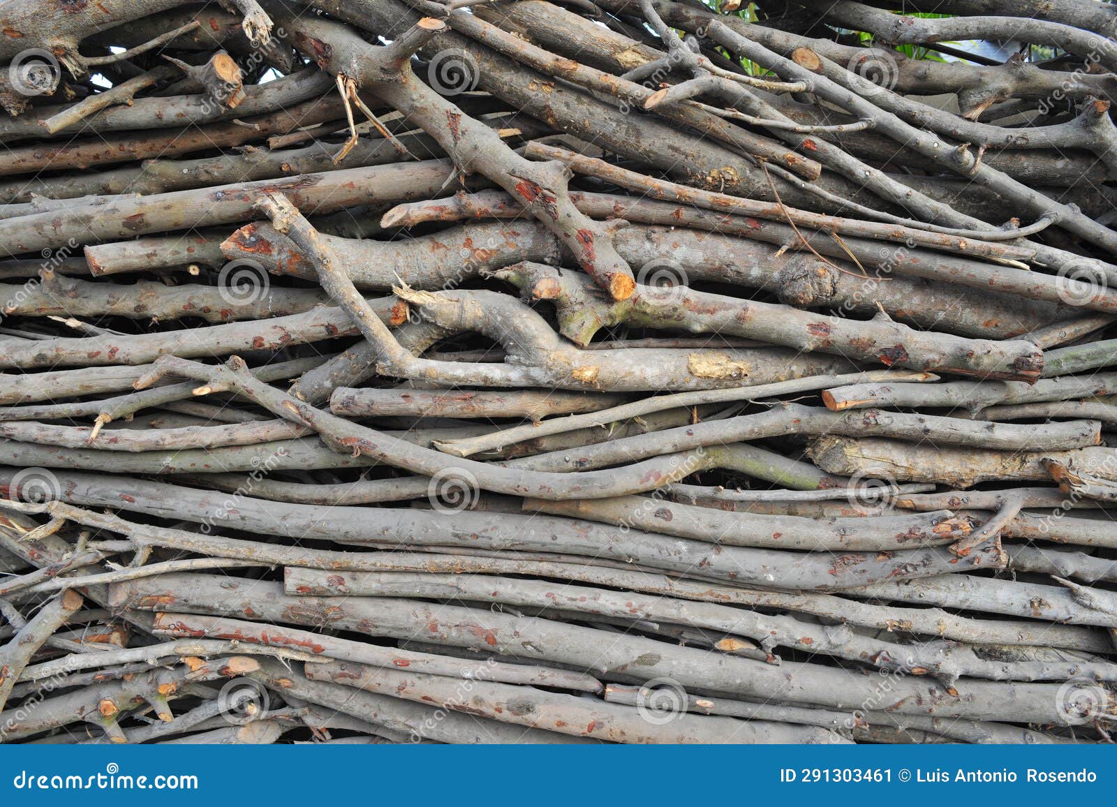 Background with Dry Branches Stacked for Fire Stock Image - Image of ...