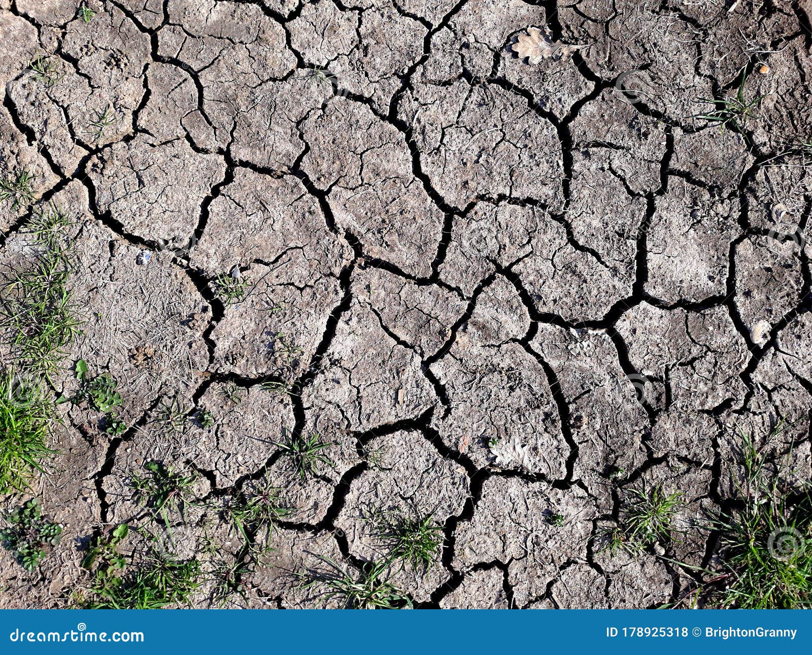 Dry and cracked earth stock photo. Image of soil, earth - 178925318