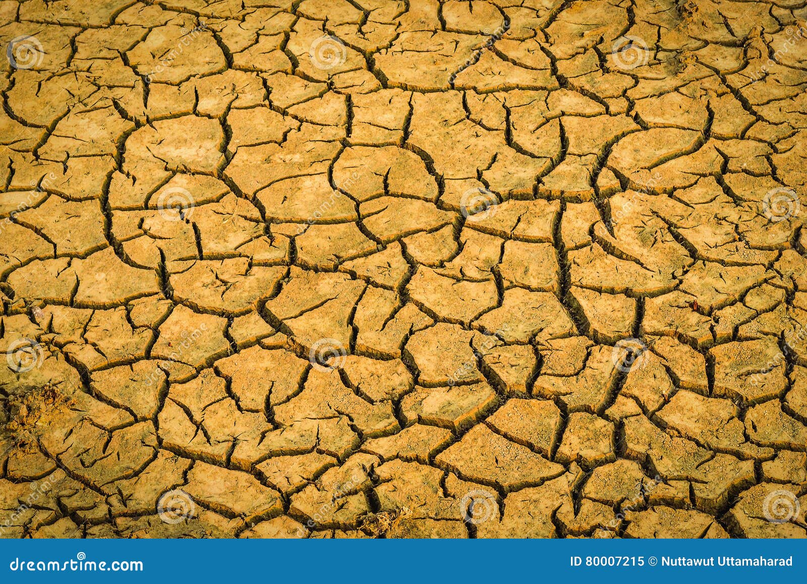 Background of Dry Cracked Soil Dirt Stock Image - Image of closeup ...