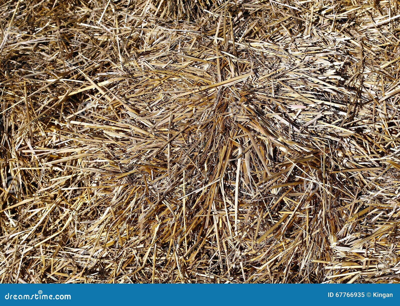 Background of Dry Hay and Straw Stock Image - Image of background ...