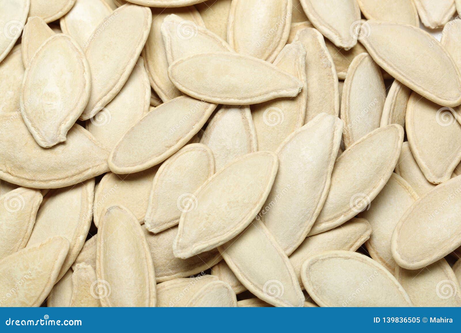 Background of Dry Pumpkin Seeds Stock Image - Image of isolated, plant ...