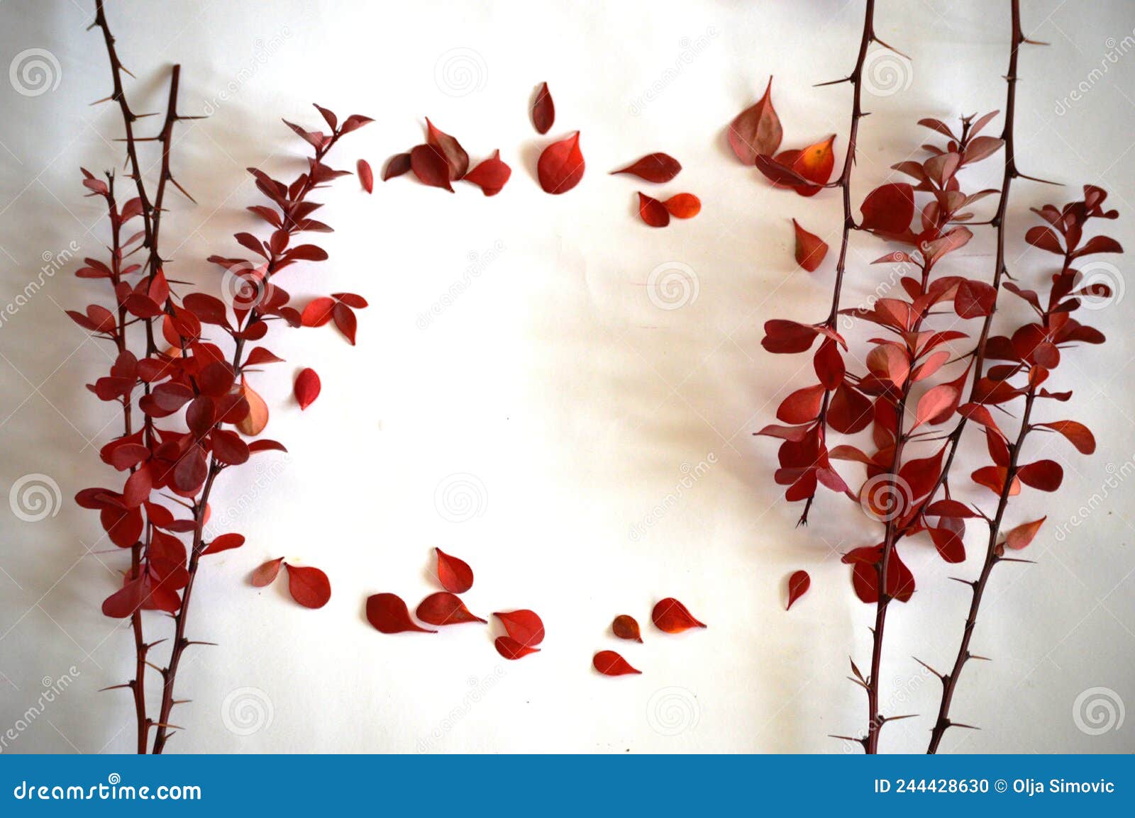 Background with Dry Red Leaves of the Plant Stock Illustration ...