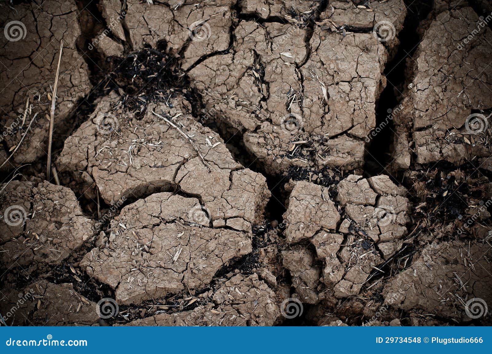 The hard ground stock photo. Image of grunge, background - 29734548