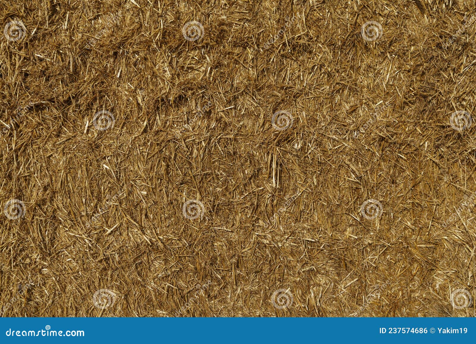 Background of Dry Straw Stalks Stock Photo - Image of harvest, forage ...