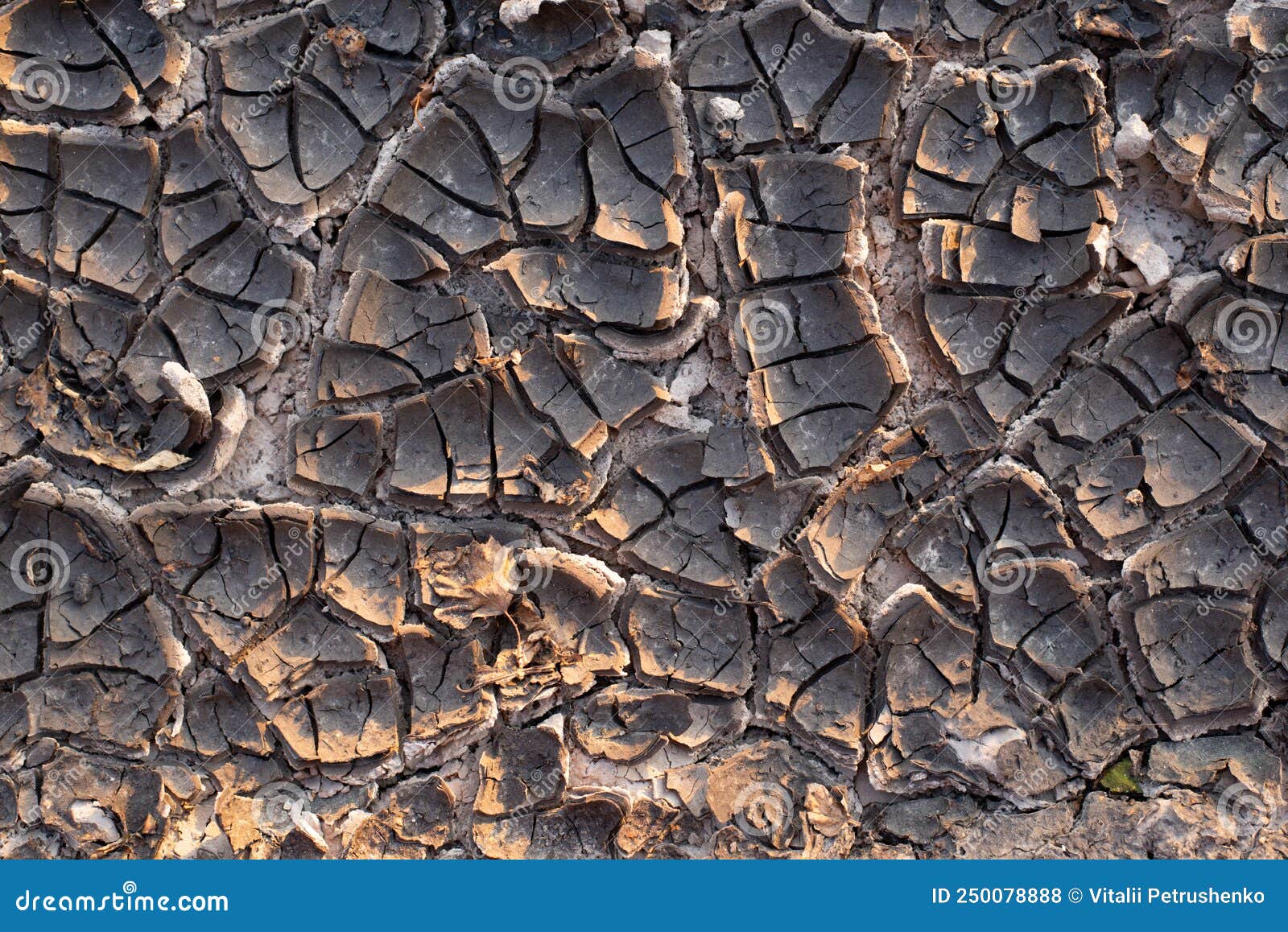 Dry Surface with Many Furrows in the Desert Stock Photo - Image of ...