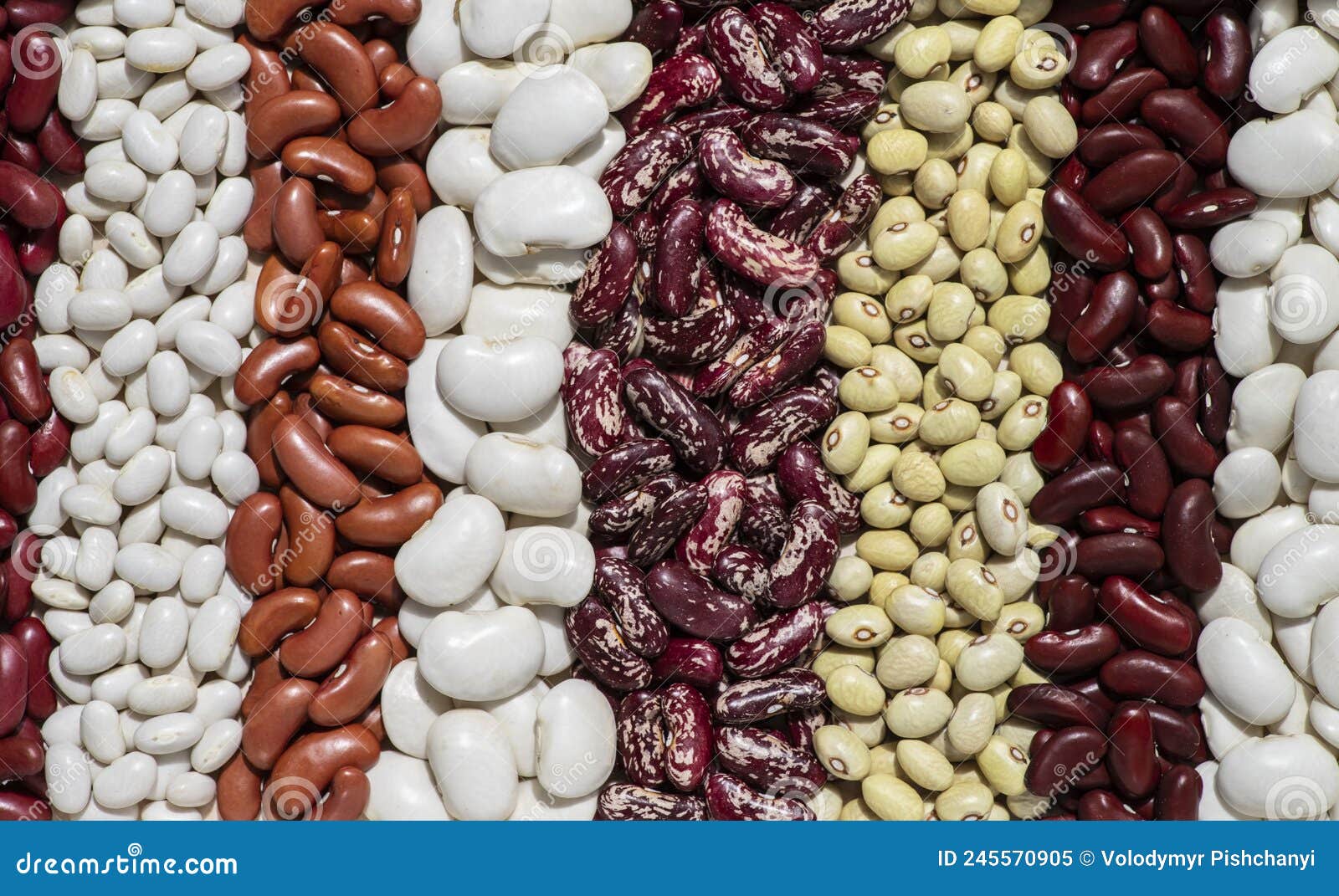 Varieties Beans Shape In Wording Bean On Wooden Board Royalty-Free ...