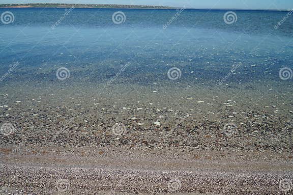 Coastal Strip of the Sea with Shells. Stock Image - Image of clean ...