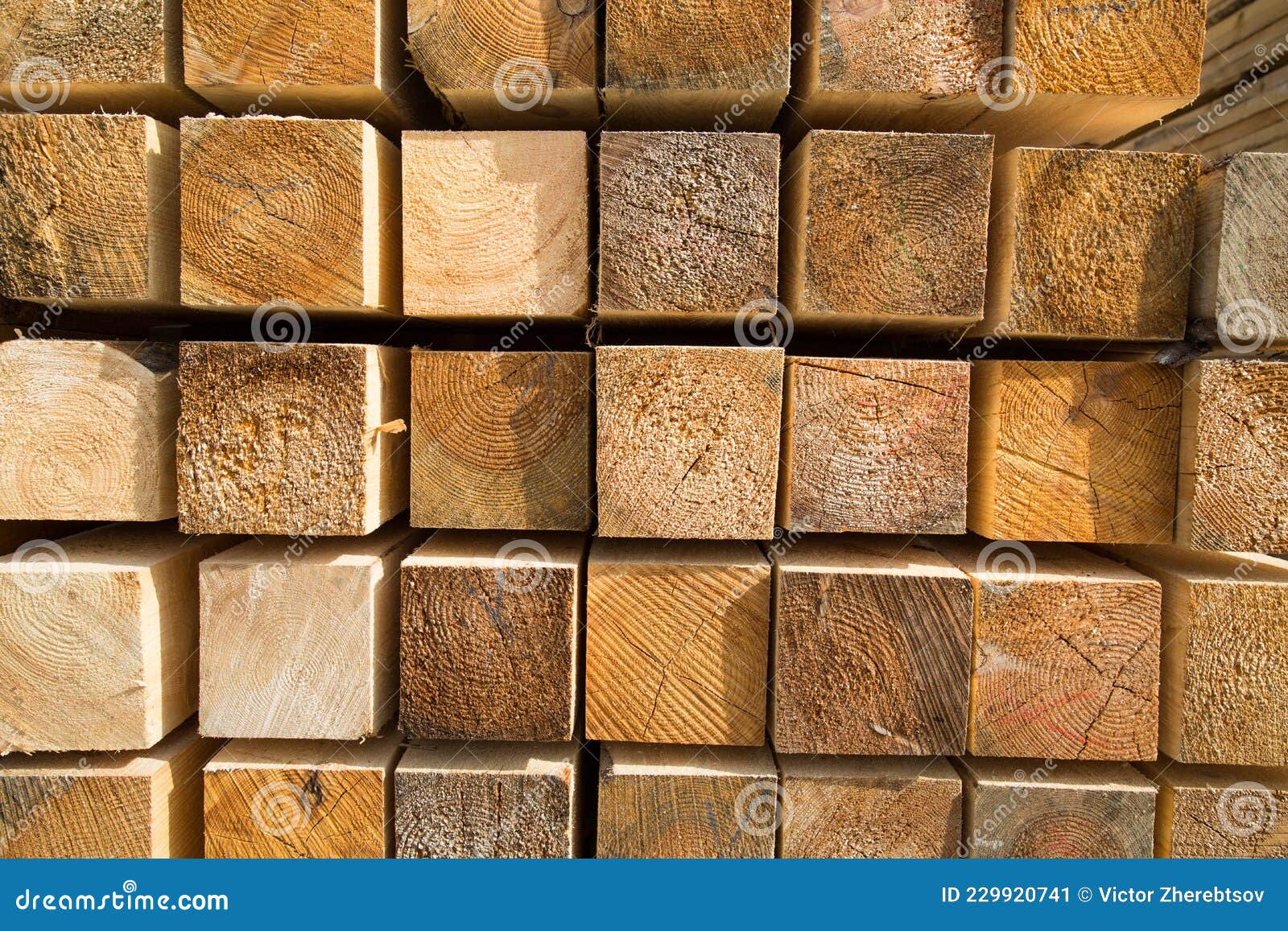 The Background of the Ends of the Edged Softwood Timber is Yellow with ...