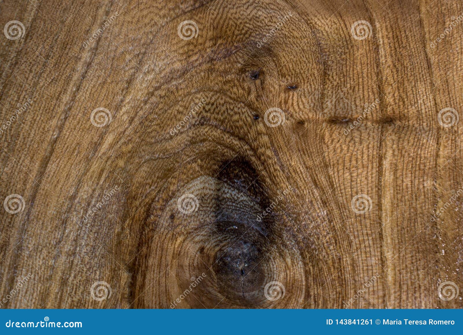 Background of Exotic Wood Grain Stock Image - Image of macro, nature ...