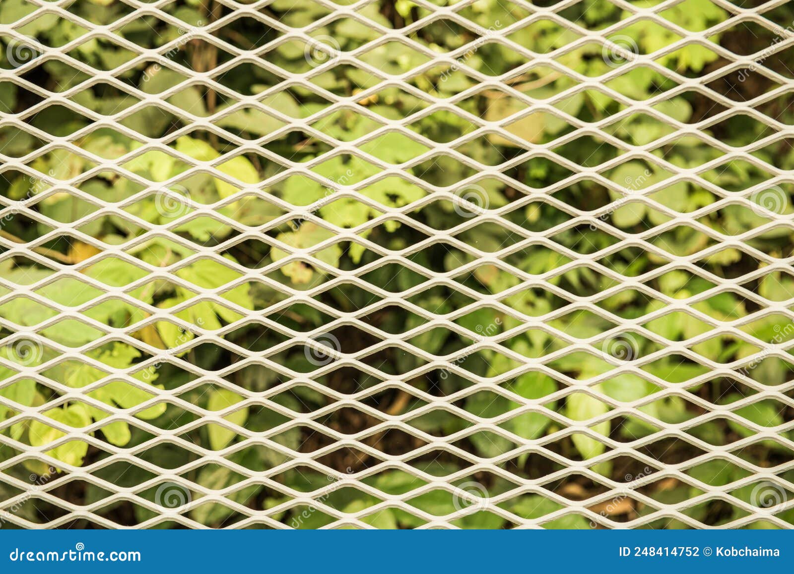 Background of Expanded Metal Stock Photo - Image of mscro, close: 248414752