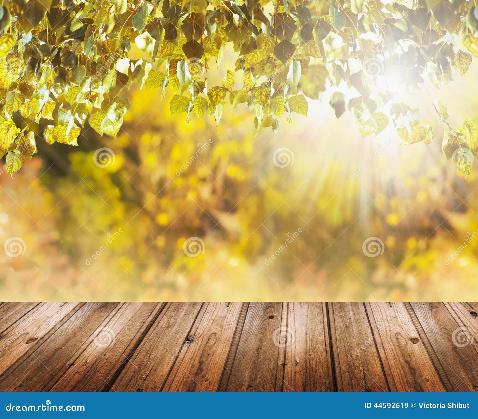 Background with Fall Foliage and Old Wooden Table Stock Image - Image ...