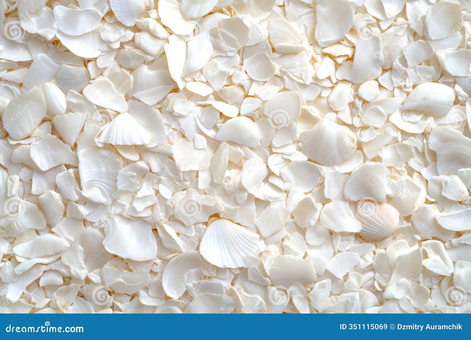 The Background Features a Gorgeous Texture from a Mother of Pearl Shell ...