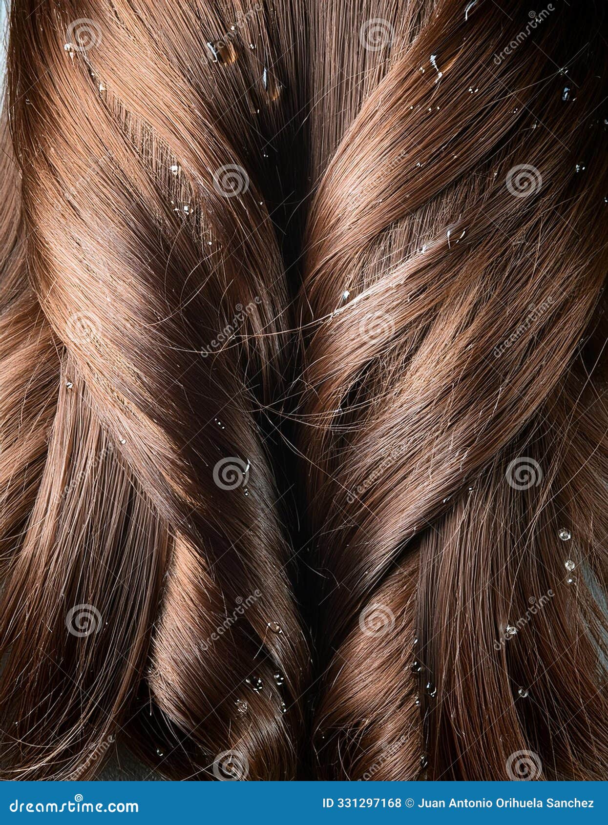 A Background Featuring a Close-up Image of a Mane of Hair Dotted with ...