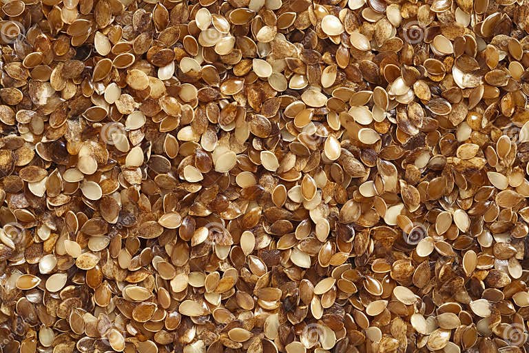 Background Featuring the Texture or Surface of Organic Linseed or ...