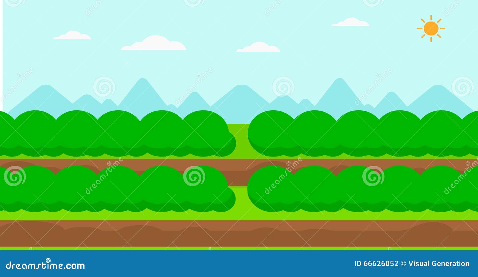 Background of Field Rows with Green Bushes. Stock Vector - Illustration ...