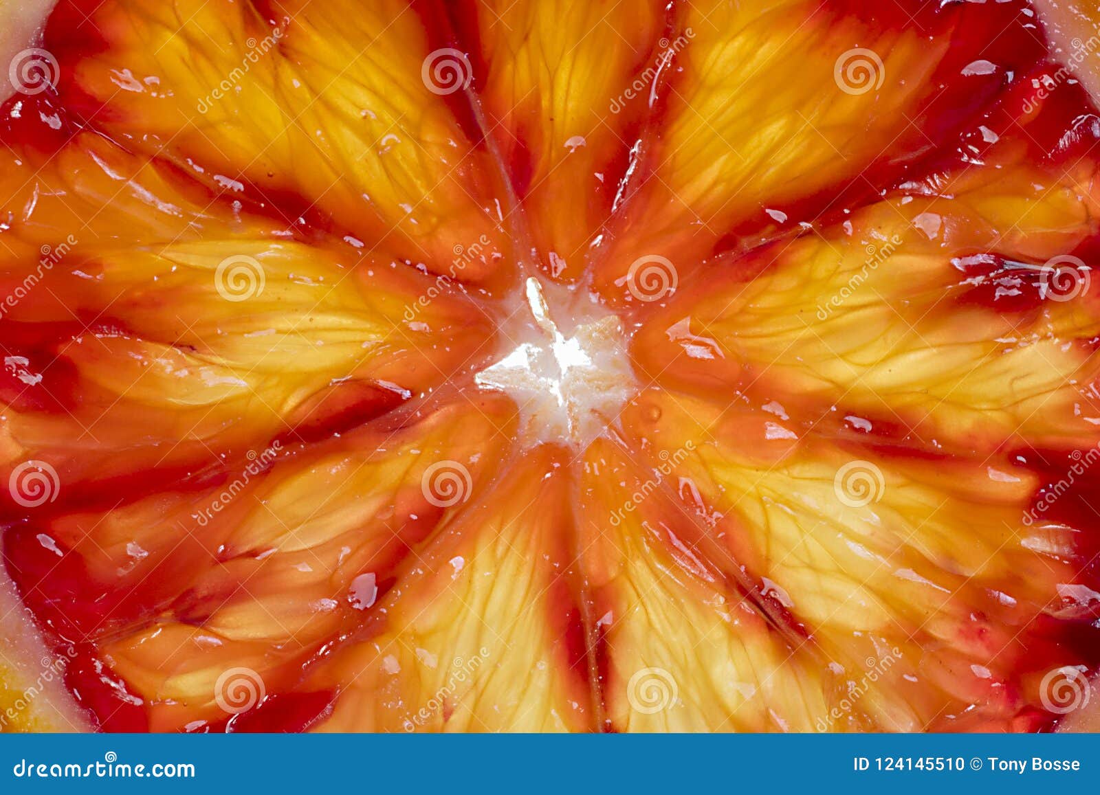 Blood Orange Pulp Background Stock Photo - Image of ingredients ...