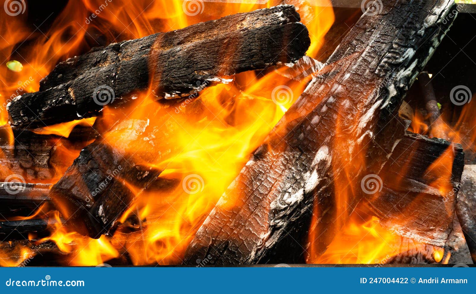 Beautiful Flame of Fire. Smoldering Logs on Fire. Fire Background Stock ...