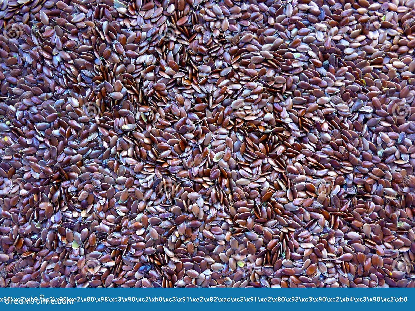 Background of the flax stock image. Image of crop, fresh - 87790487