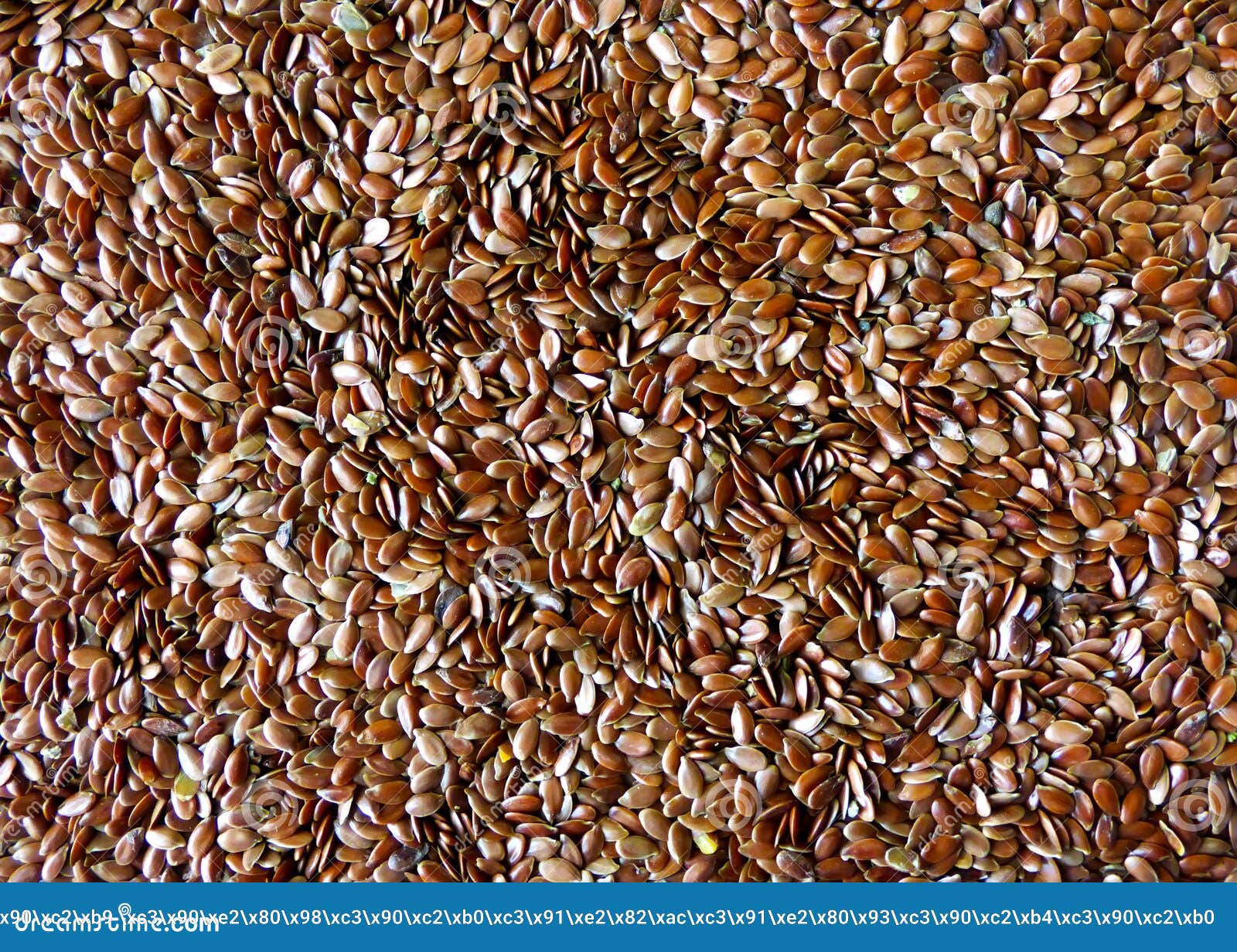 Background of the flax stock image. Image of ingredient - 87790543