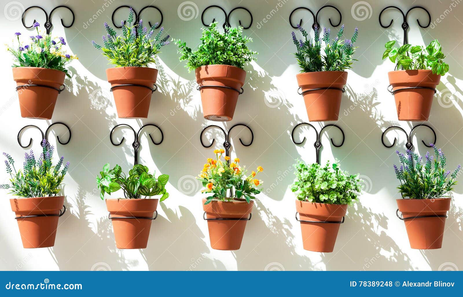 Background from Flower Pots Stock Photo - Image of blossom, decorative ...