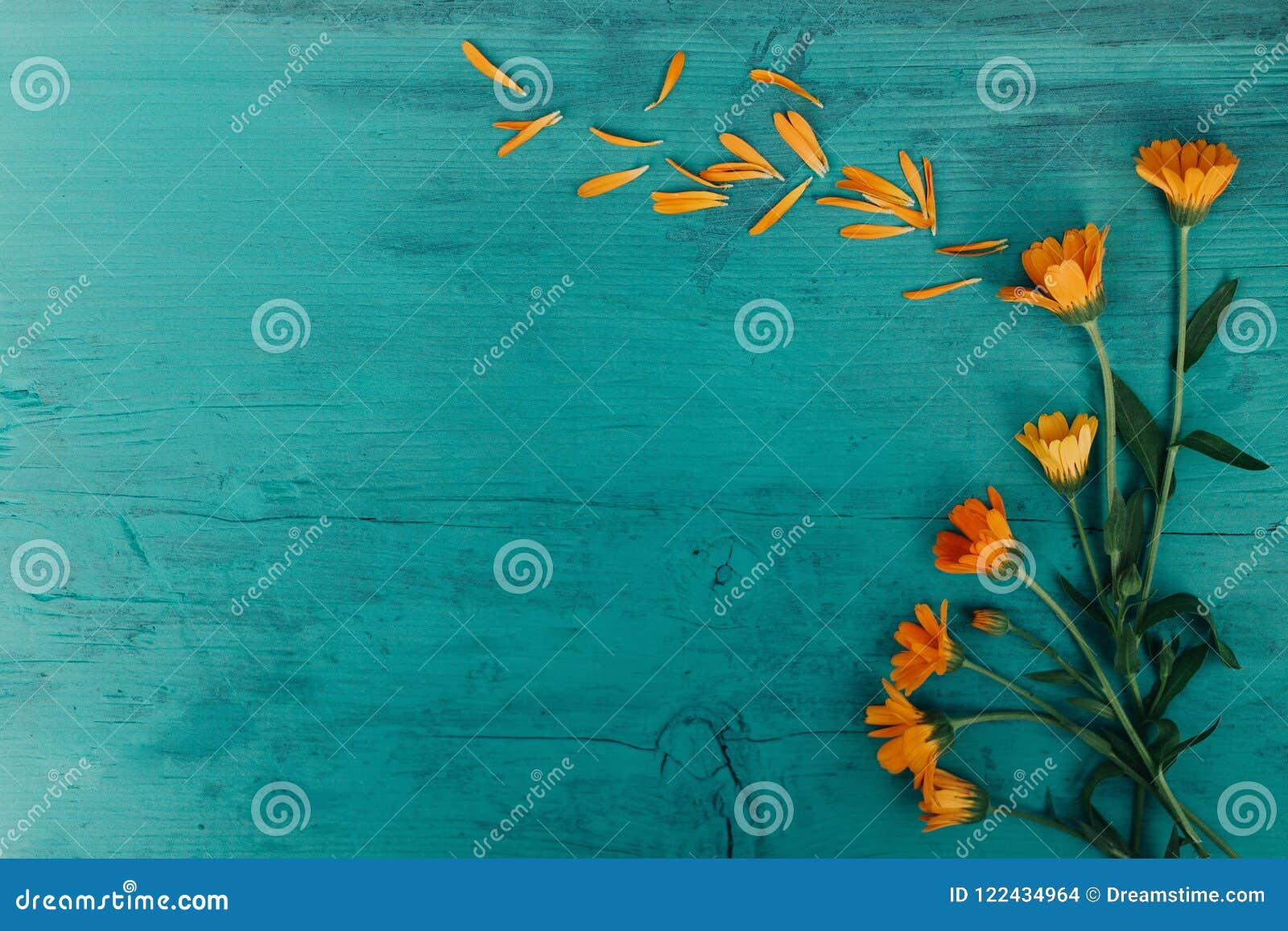 Background Flowers, Floral Pattern, Top View, Pattern of Flowers ...