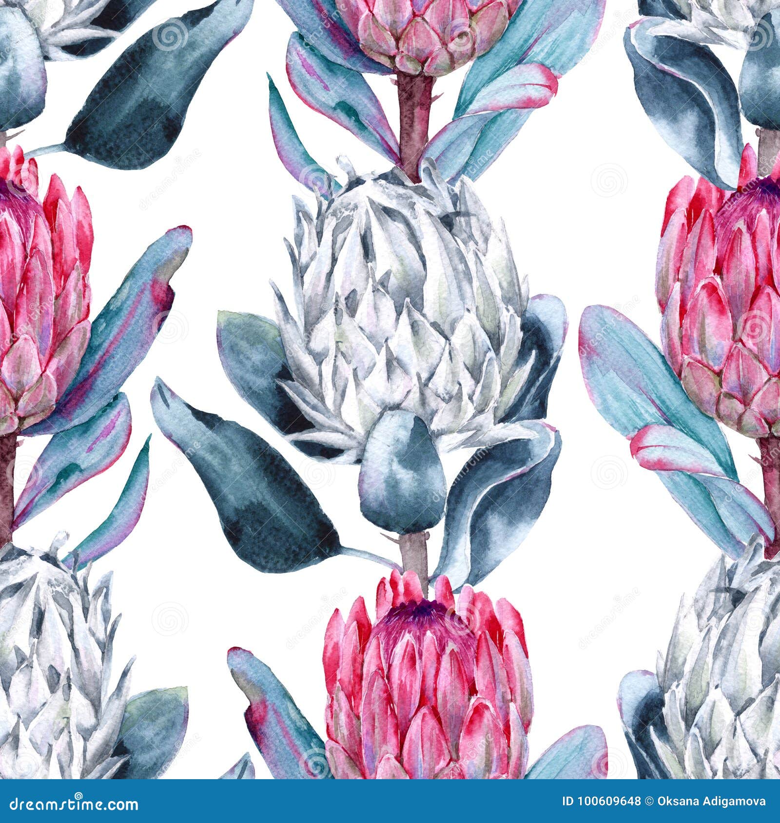 Background of Flowers Protea. Seamless Pattern Stock Illustration ...