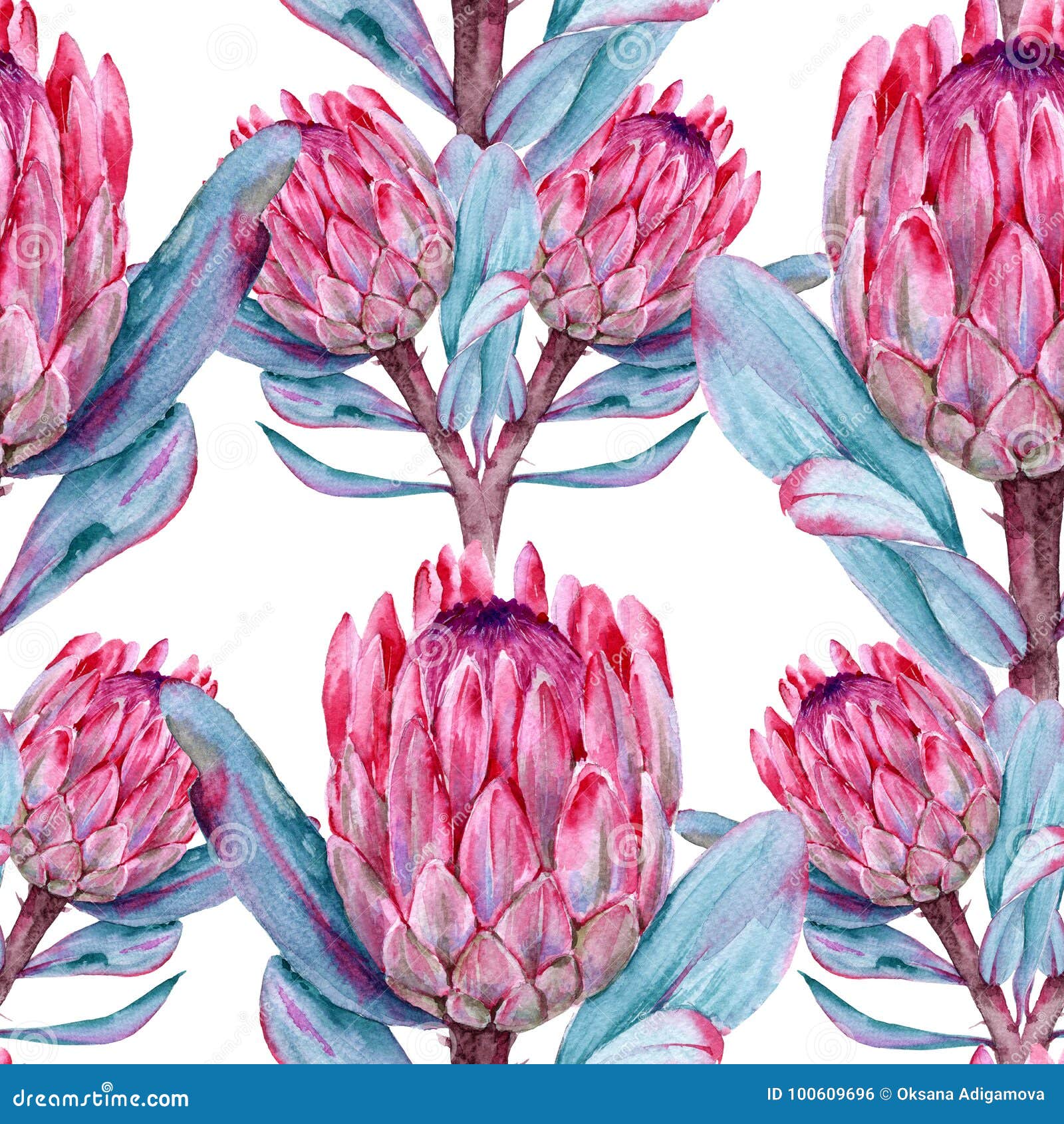 Background of Flowers Protea. Seamless Pattern Stock Illustration ...