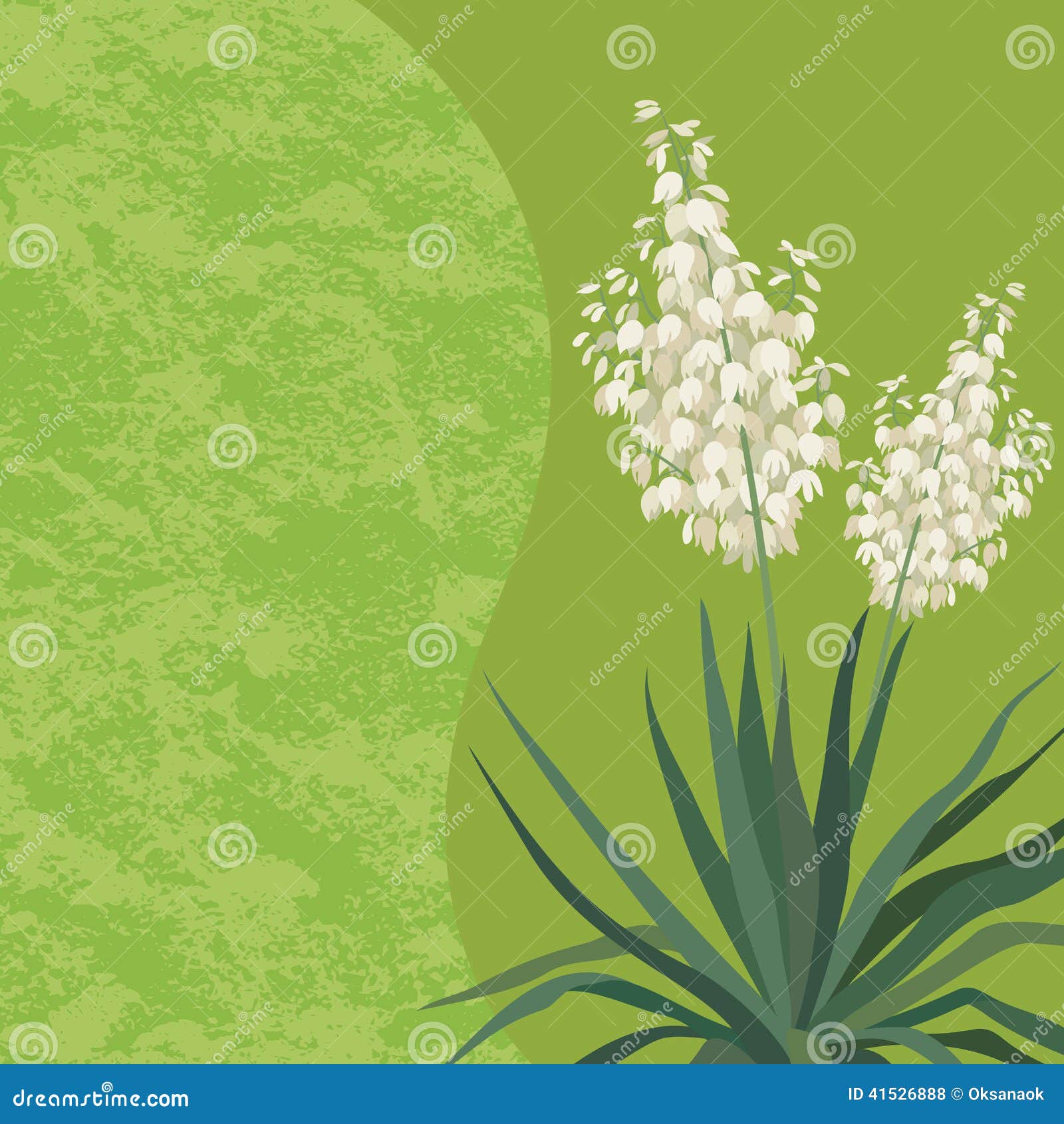 Yucca Cartoons, Illustrations & Vector Stock Images - 1747 Pictures to ...