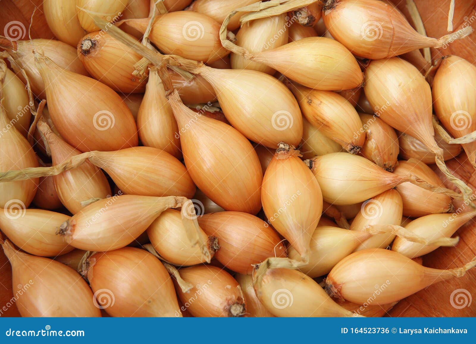 Background of the Food. Bulbs Oblong Yellow Onions. Stock Photo - Image ...