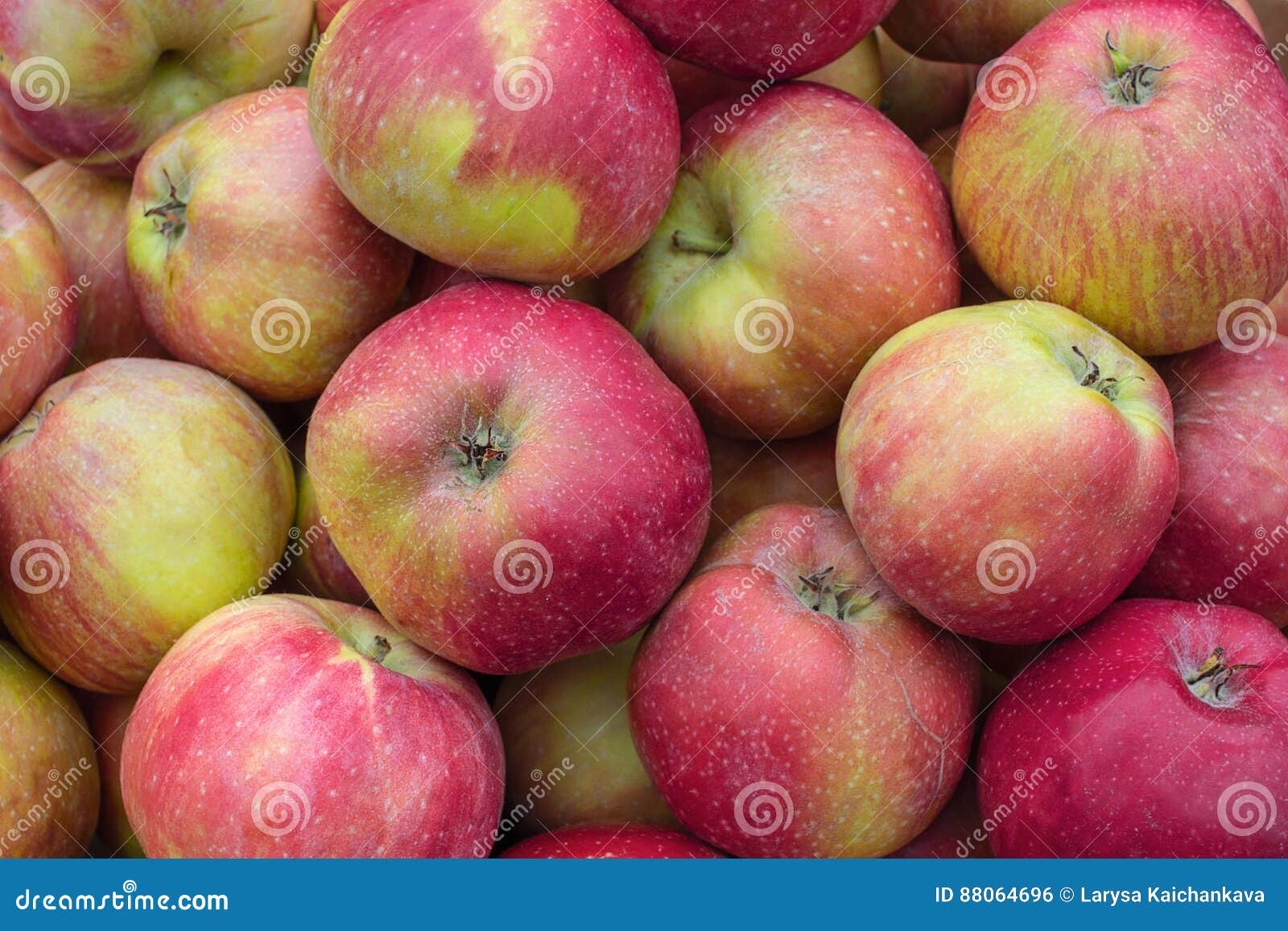 Background Food. Red Spots Apples Stock Photo - Image of background ...