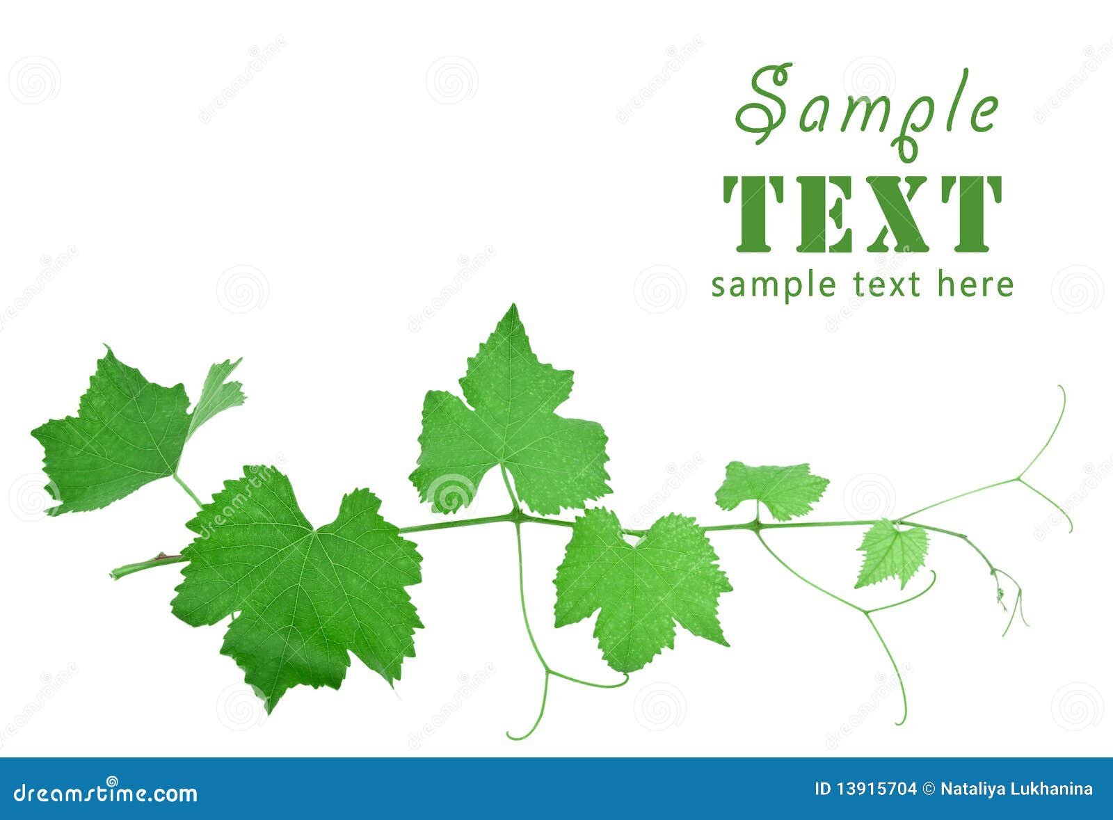 Background in the Form of a Grapevine Stock Photo - Image of autumn ...