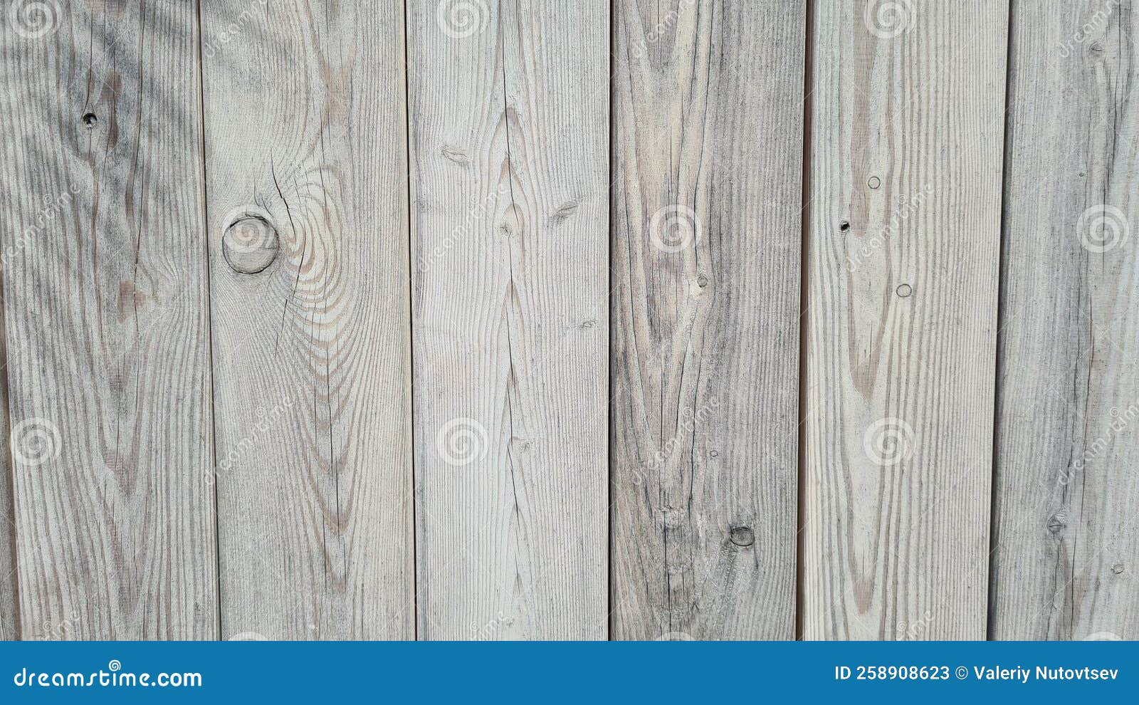 The Background is in the Form of a Wall of Gray Boards. Stock Image ...