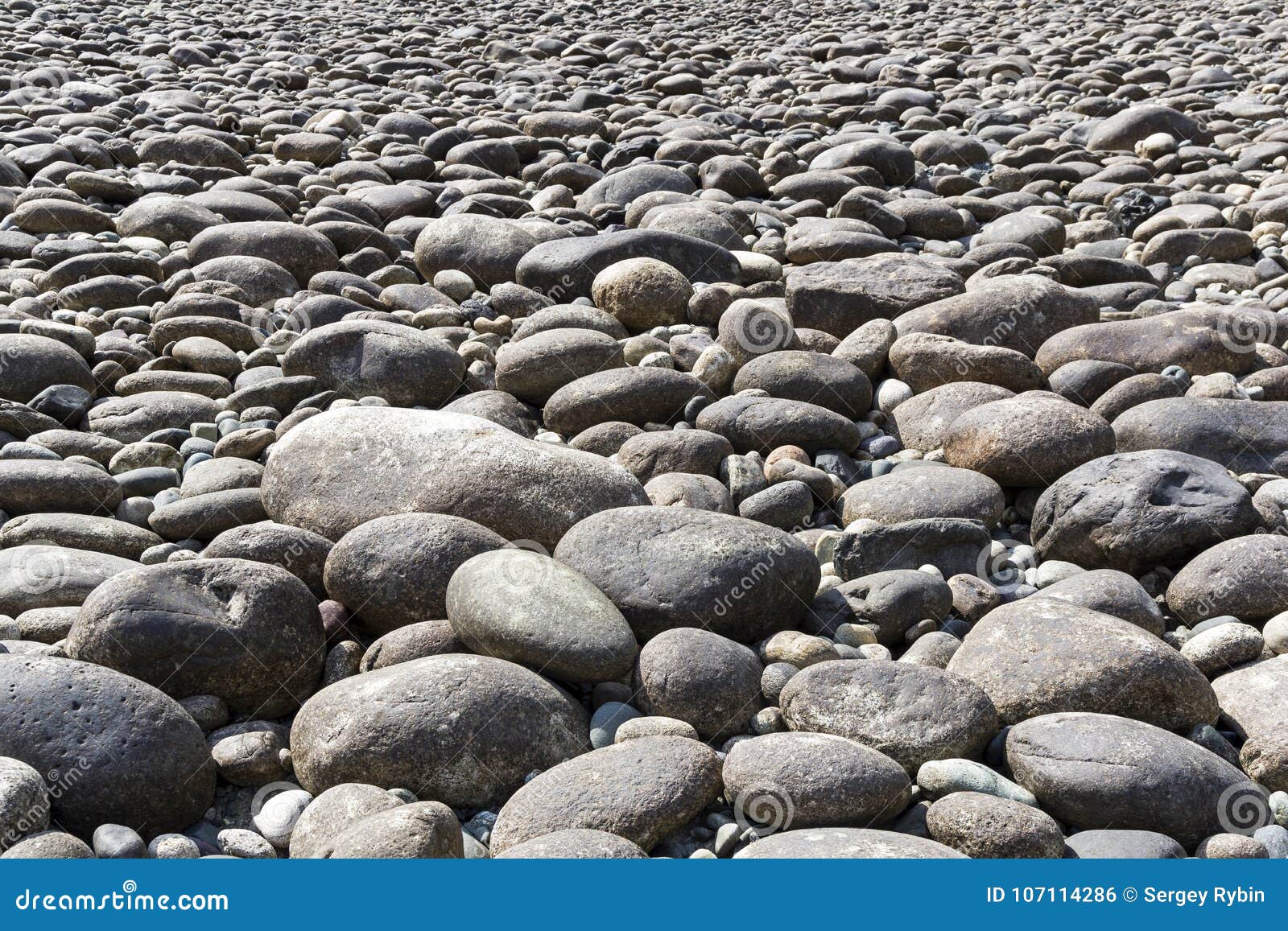 Large Gray Pebble on the River Bank. Stock Photo - Image of surface ...