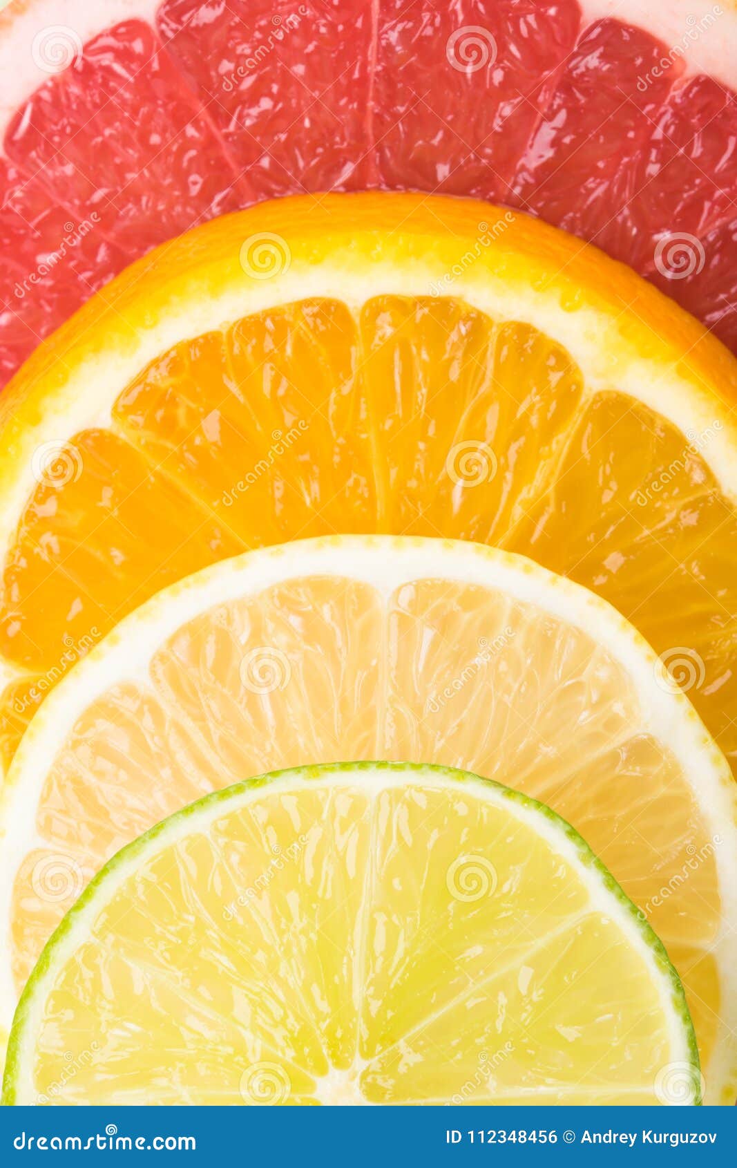 Background of Four Structures of Different Citrus Fruits Stock Photo ...