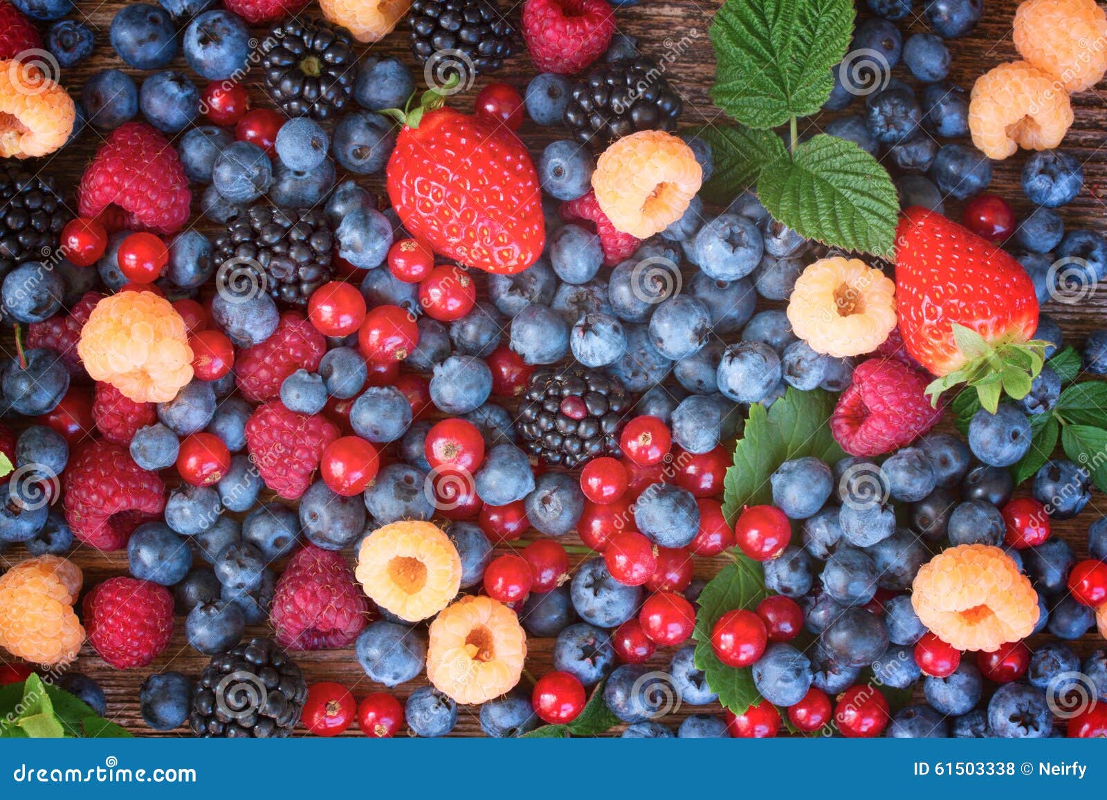 Background of Fresh Berries Stock Photo - Image of berries, colorful ...