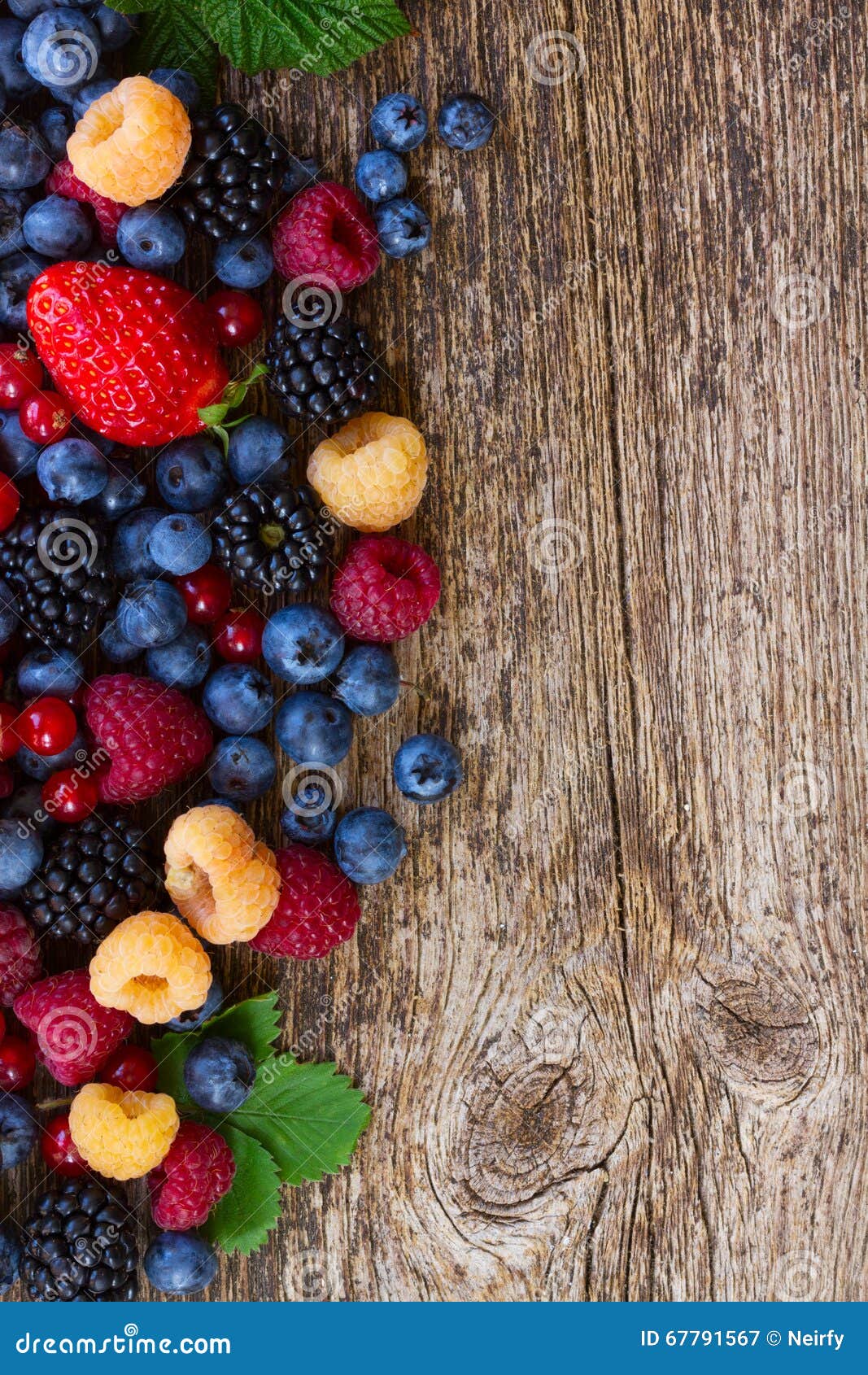 Background of Fresh Berries Stock Image - Image of leaves, healthy ...
